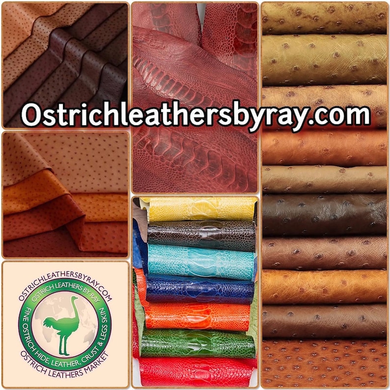 Ostrich Hide Leather Cinnamon Color maddog %100 Genuine - Etsy