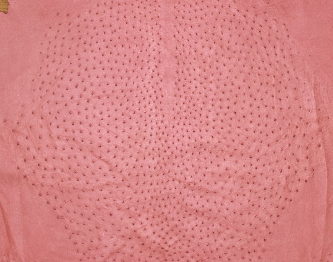 Ostrich Hide Leather Pearl Rose Color %100 Genuine Natural | Etsy