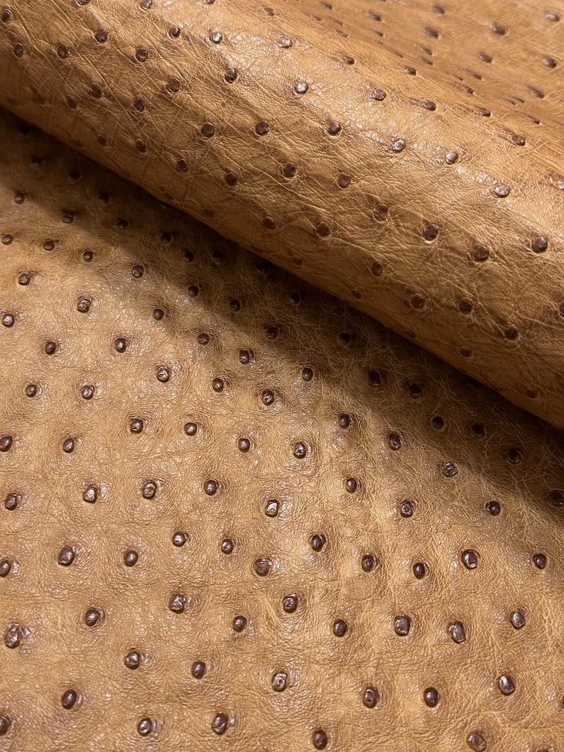 Ostrich Hide Leather Antique Saddle Color %100 Genuine - Etsy