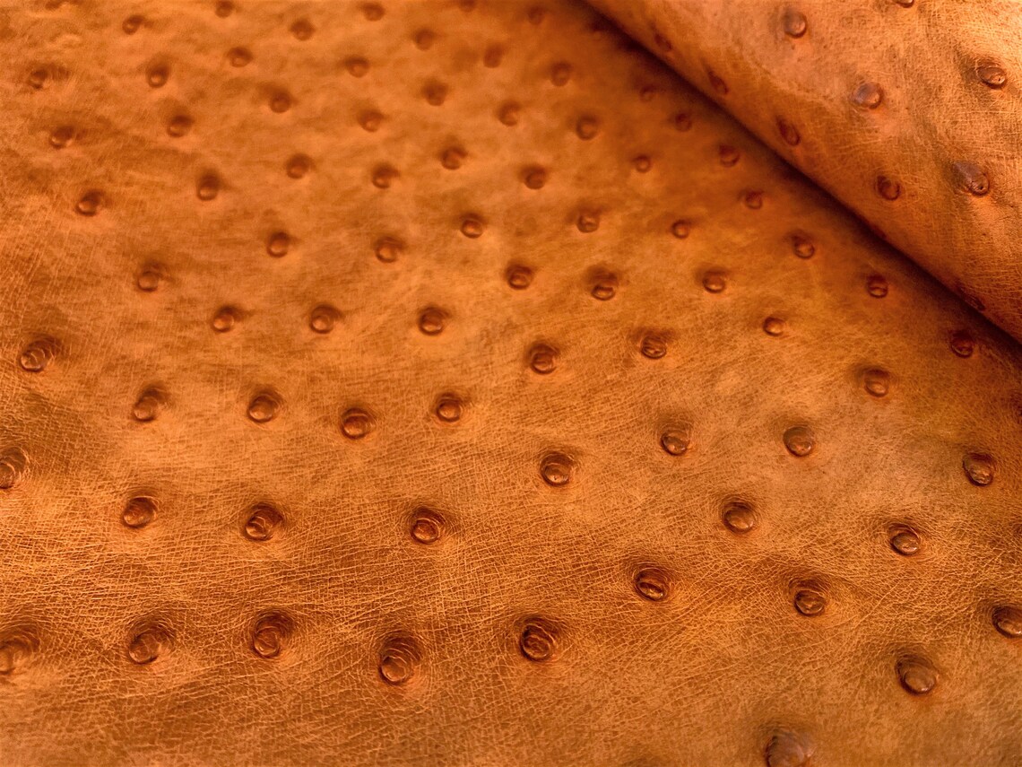 Ostrich Hide Leather Chestnut Color maddog %100 Genuine - Etsy
