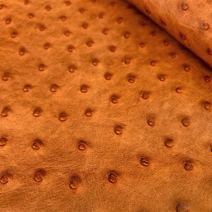 Ostrich Hide Leather Chestnut Color (maddog) (%100 Genuine Natural Skin ...