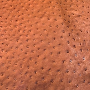 Ostrich Hide Leather Chestnut Color maddog %100 Genuine | Etsy