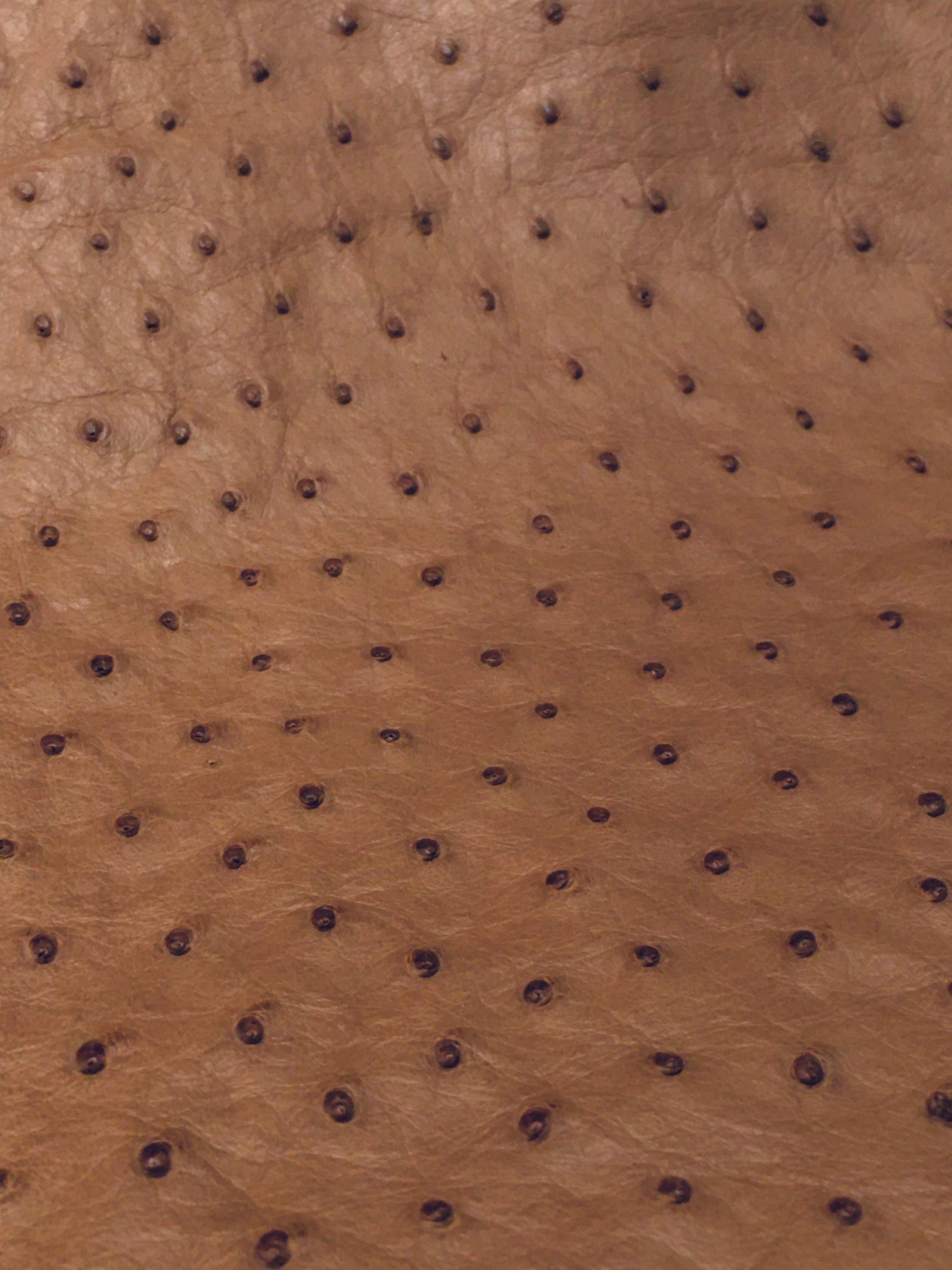 Ostrich Hide Leather Saddle Color %100 Genuine Natural Skin | Etsy