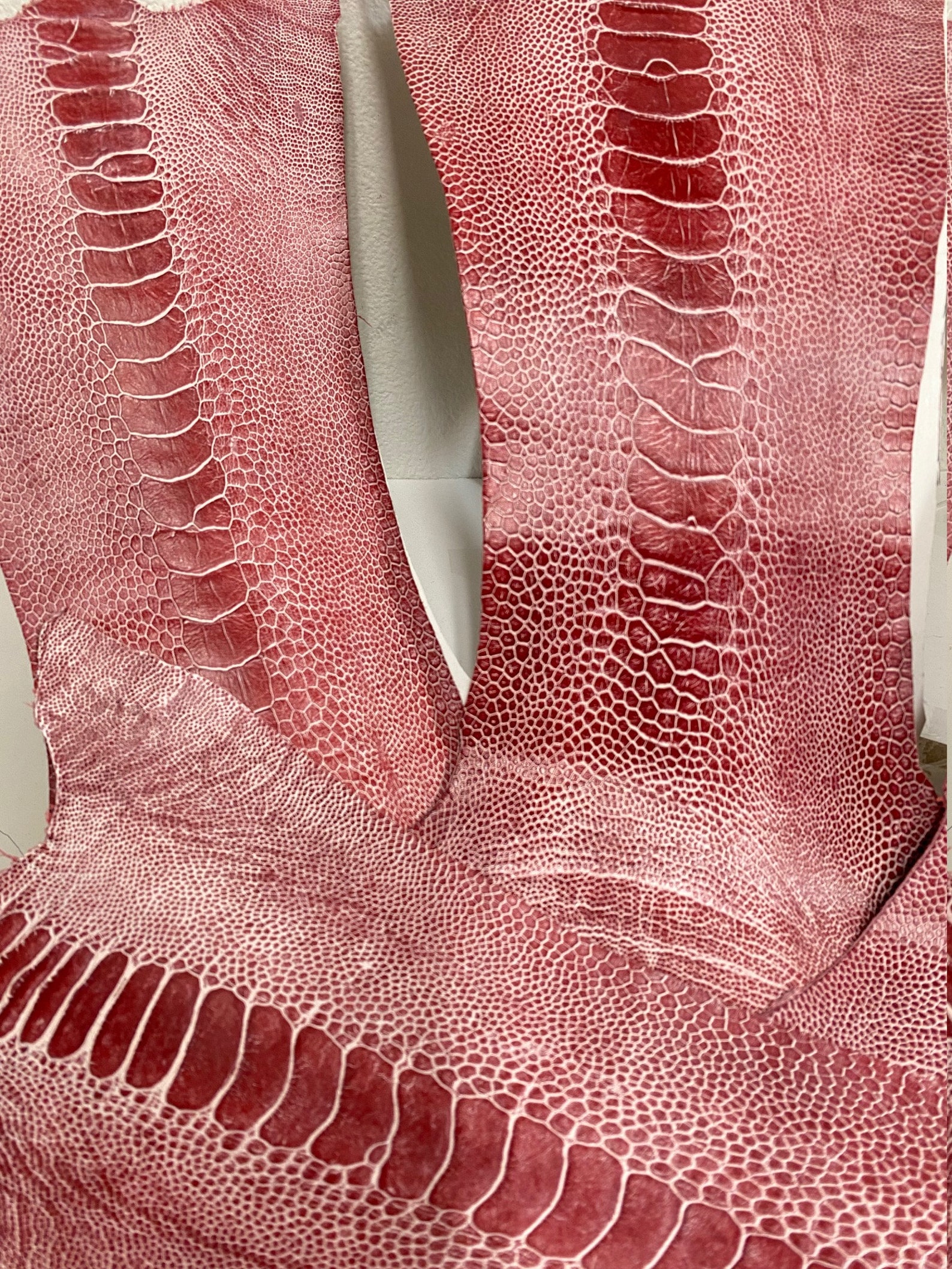 Ostrich Leg Leathers Rio Flame Red Color - Etsy