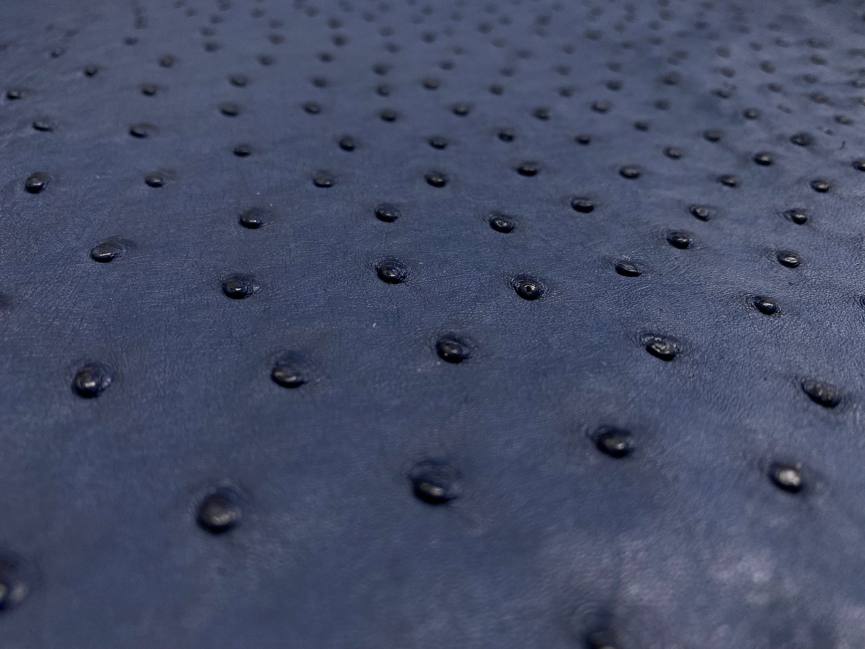 Ostrich Hide Leather Irish Blue Color (%100 Genuine Natural Skin ) - Etsy