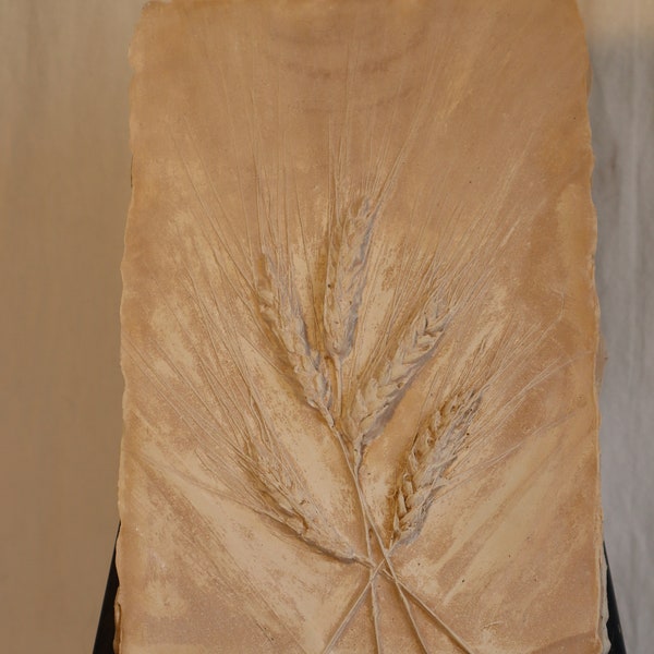 Botanical Bas Relief - Etsy