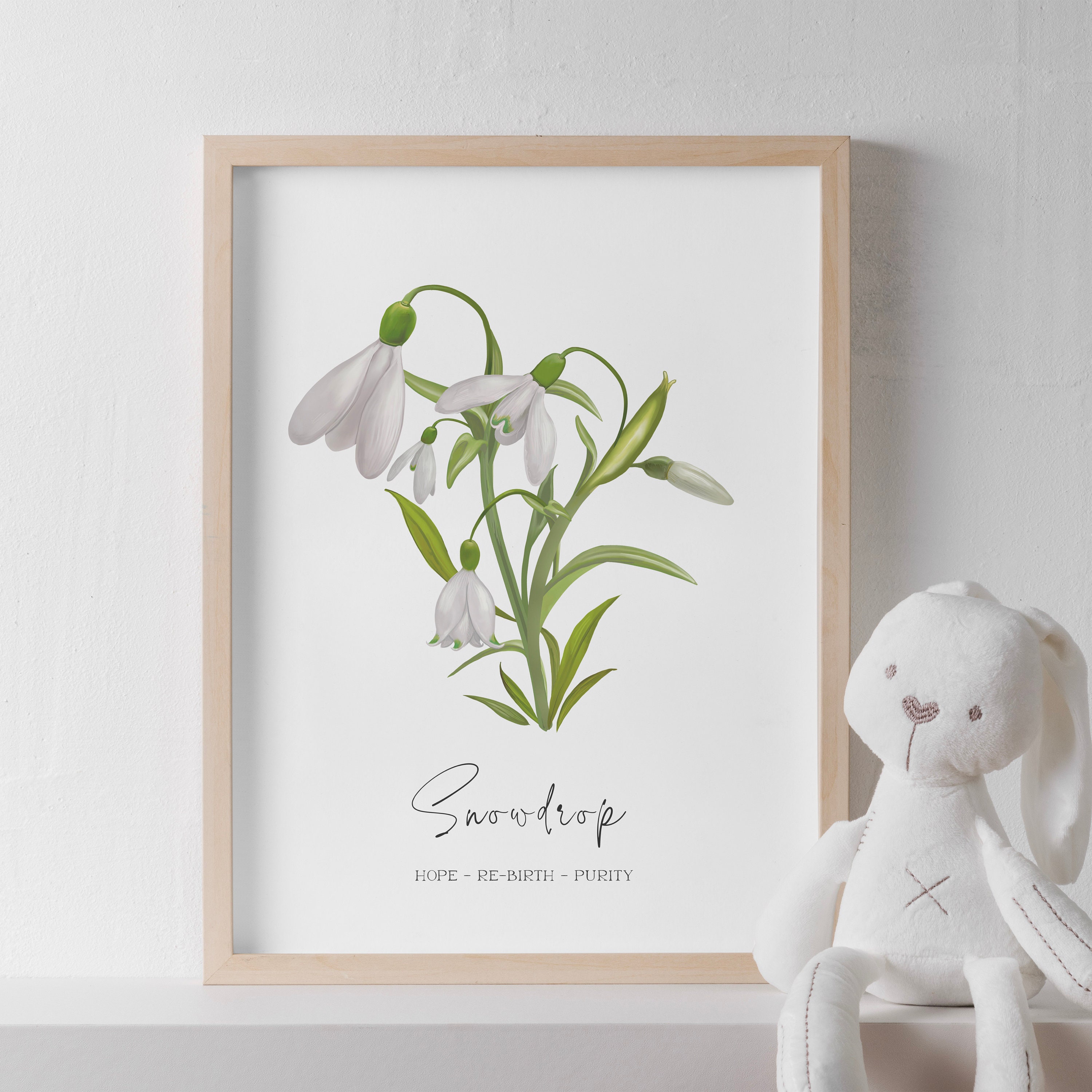 JANUARY BIRTH FLOWER Snowdrop Symbolism Vintage Floral Print Nursery ...