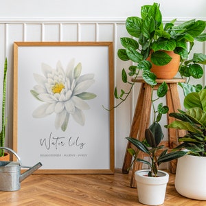 July Birth Flower Art Printable Digital Download, Water Lily Art Print ...