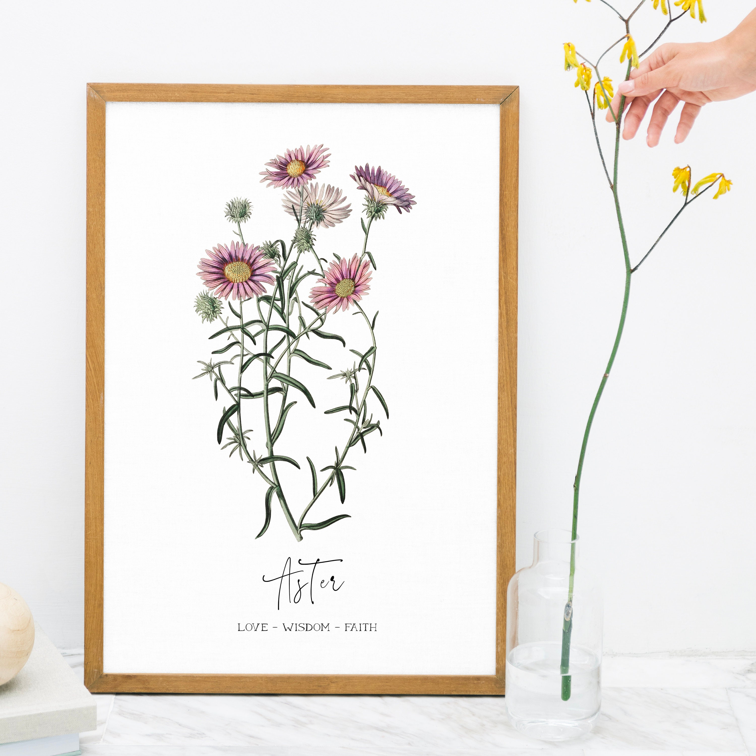 ASTER BIRTH FLOWER Instant Download Aster Print September Aster Flower ...