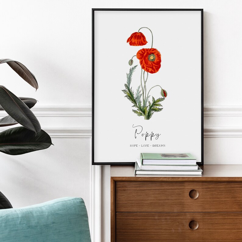 AUGUST BIRTH FLOWER Poppy Birth Print Nursery Print Digital - Etsy