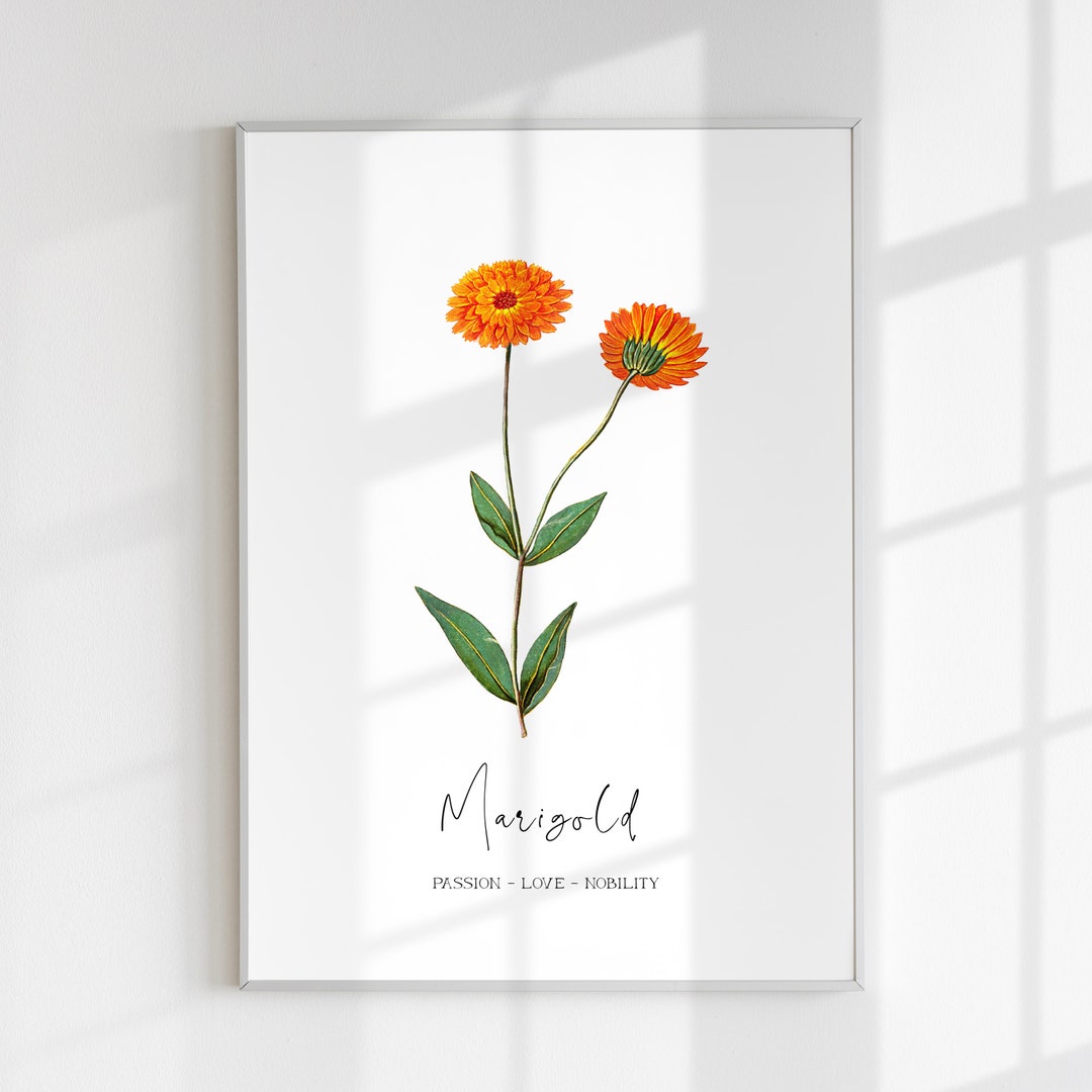 MARIGOLD BIRTH FLOWER Printable Wall Art Floral Decor Print Botanical ...