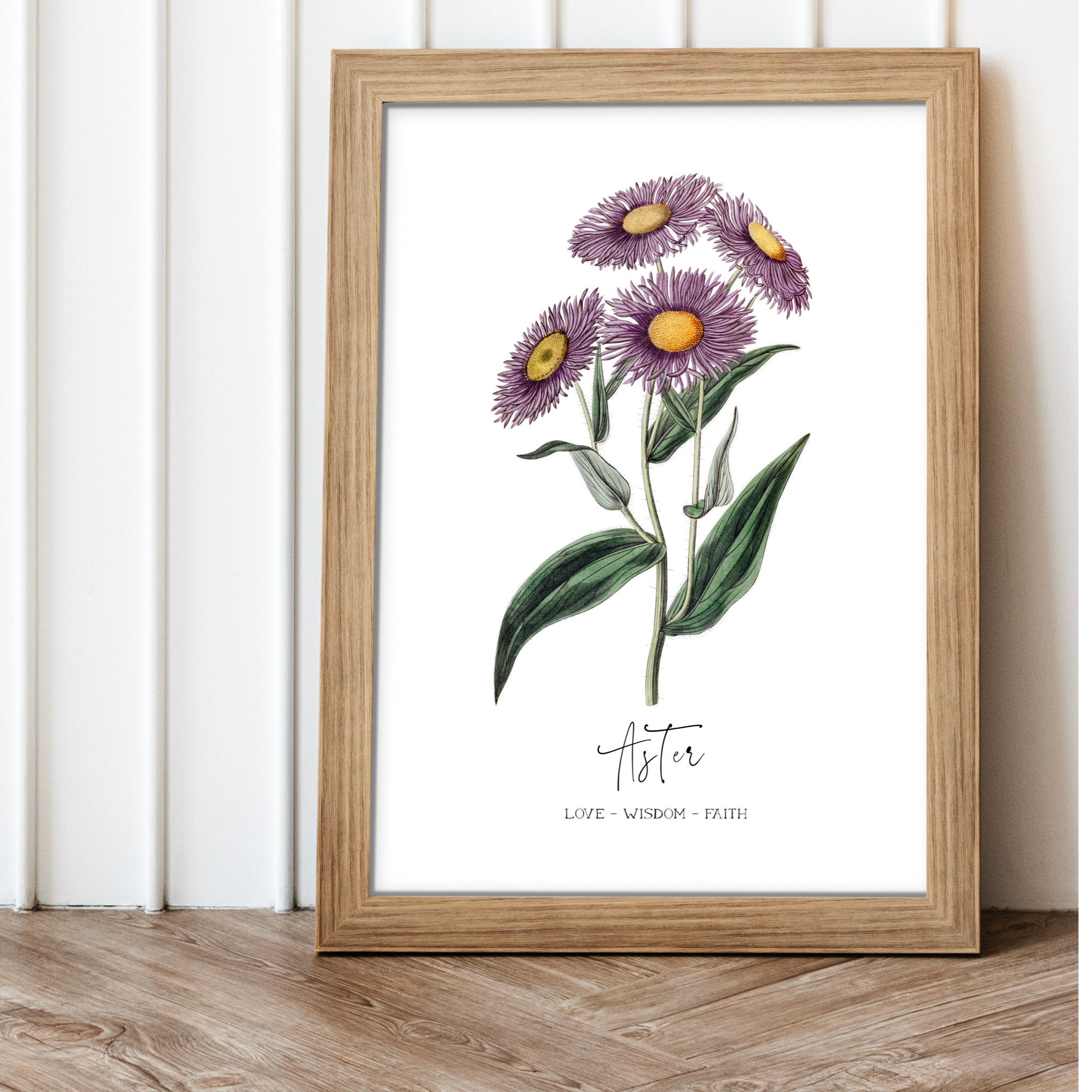 ASTER BIRTH FLOWER Instant Download Aster Print September Aster Flower ...