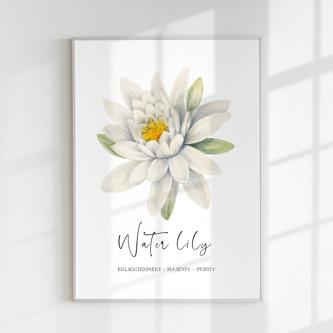 July Birth Flower Art Printable Digital Download, Water Lily Art Print ...