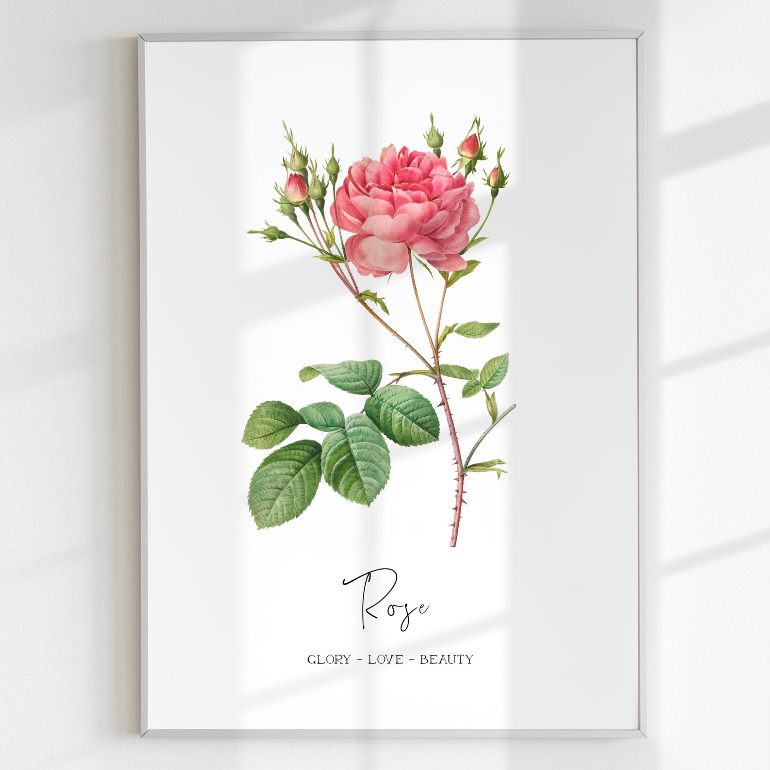 JUNE BIRTH FLOWER Rose Birth Print Nursery Print Digital - Etsy