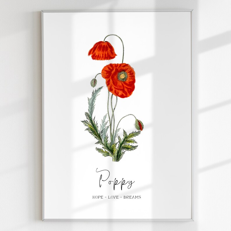 AUGUST BIRTH FLOWER Poppy Birth Print Nursery Print Digital - Etsy