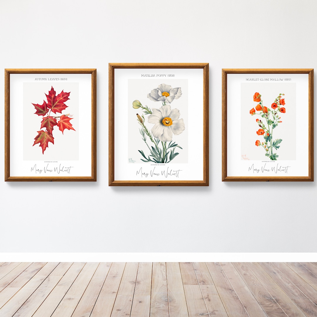 Floral Print Set of 3 Botanical Wall Art Printable Digital Download ...