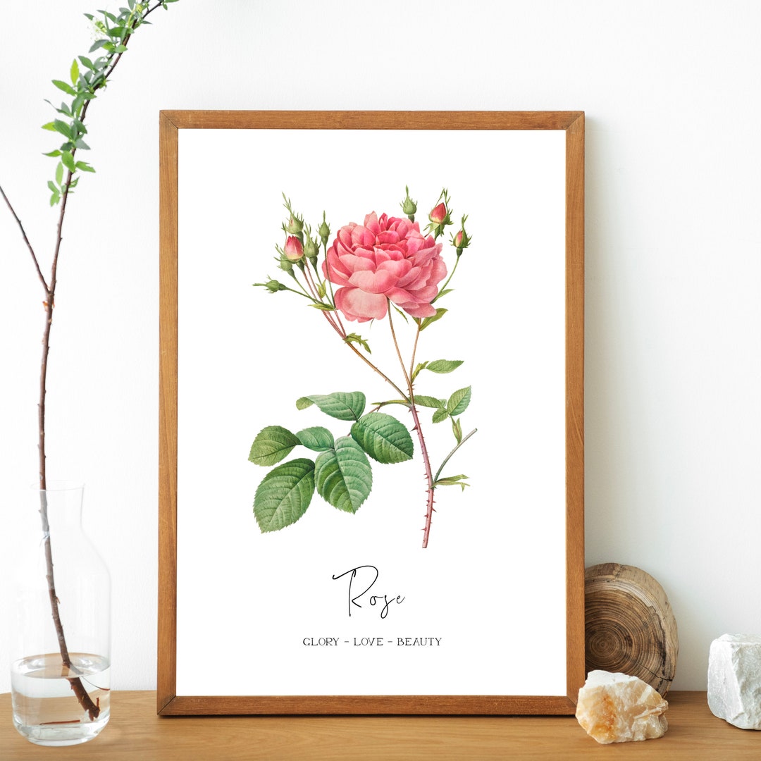 BIRTH FLOWER PRINTABLE June Ro Se Birthflower Gift Instant Download ...