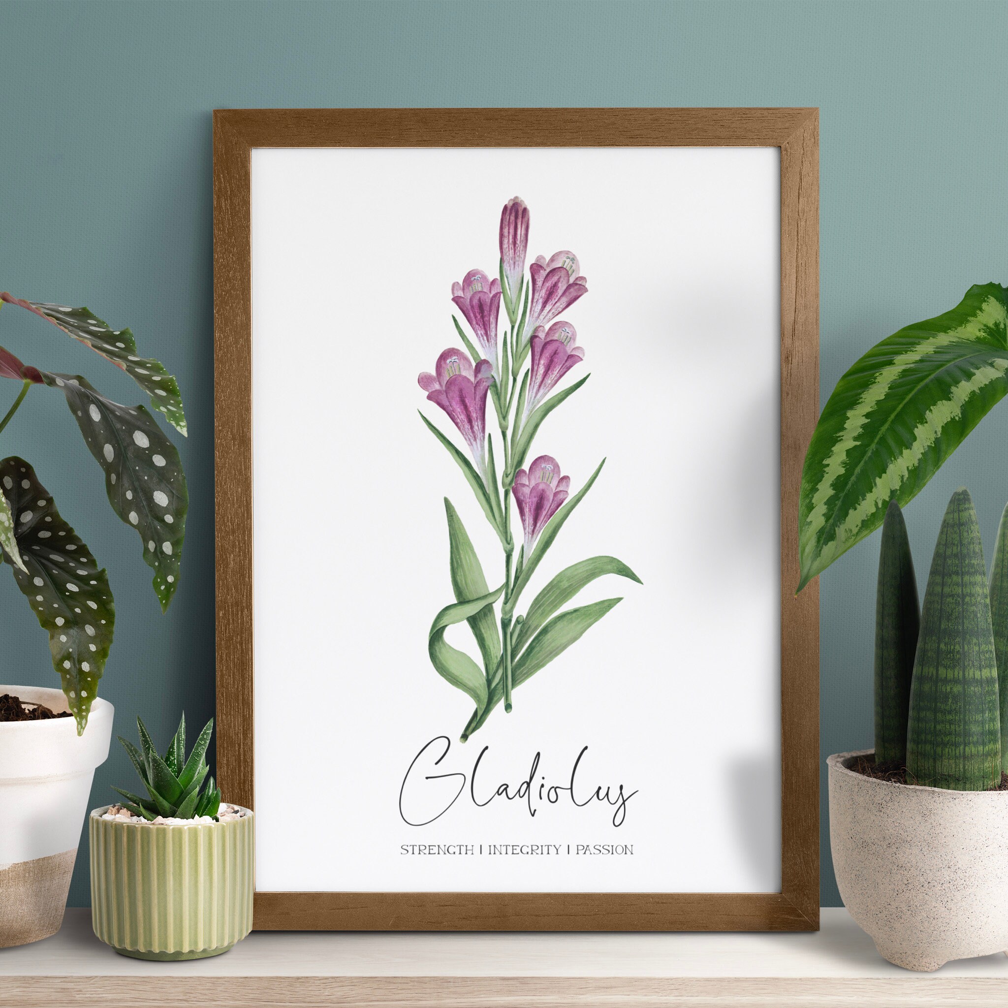AUGUST BIRTH FLOWER Art Print August Birthday Gift for Her - Etsy