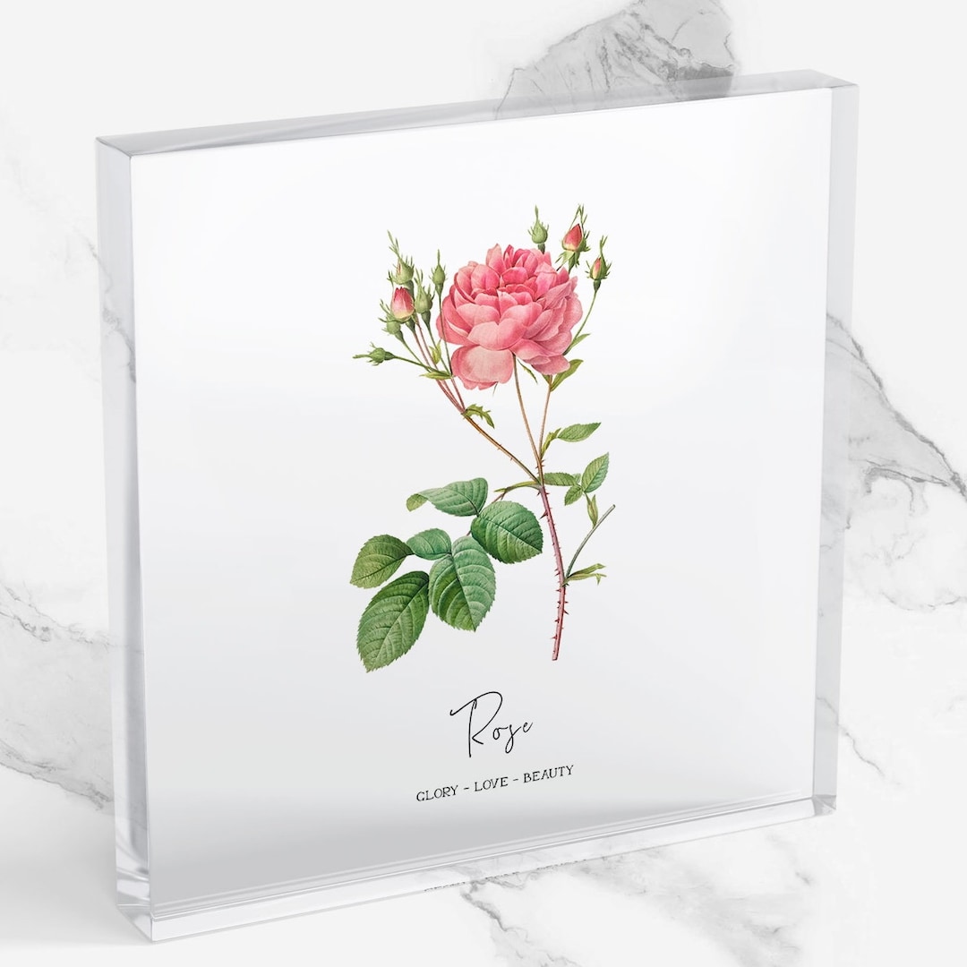 BIRTH FLOWER GIFT June Birthday Flower Birth June Gift for - Etsy