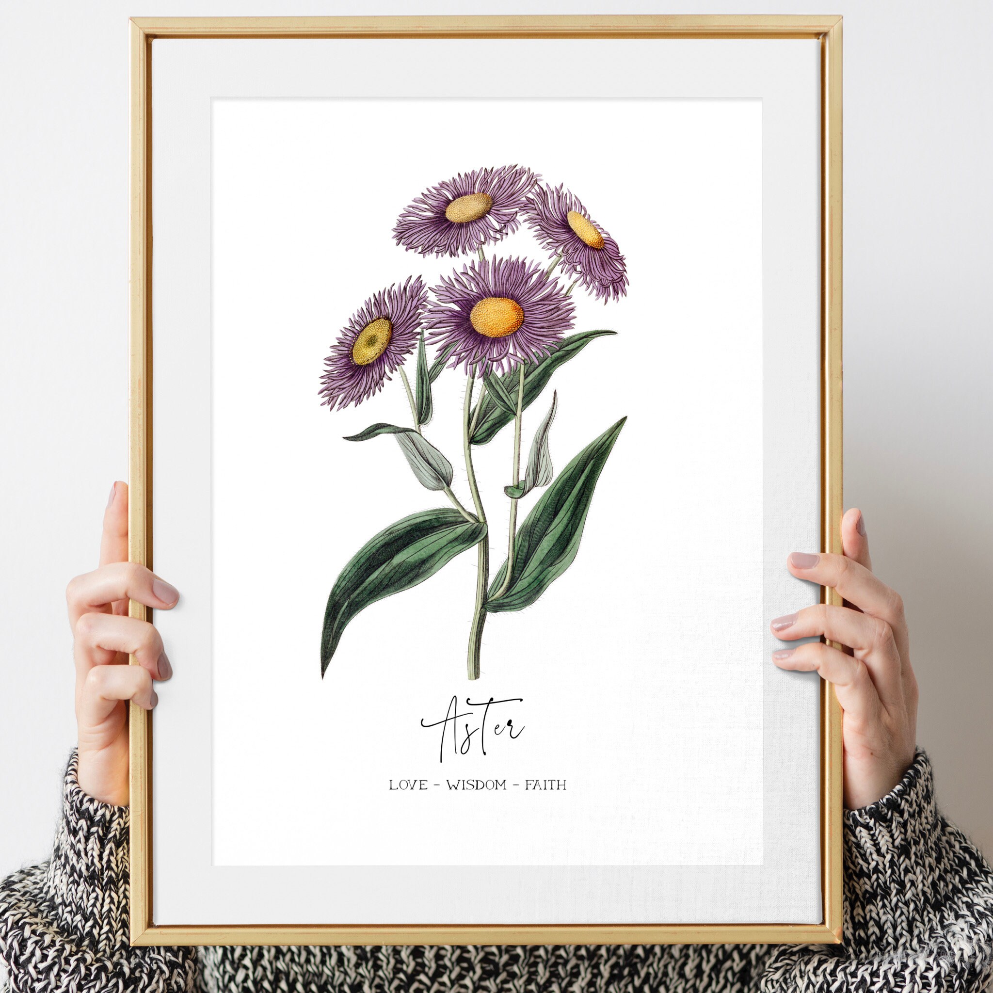 ASTER BIRTH FLOWER Instant Download Aster Print September Aster Flower ...