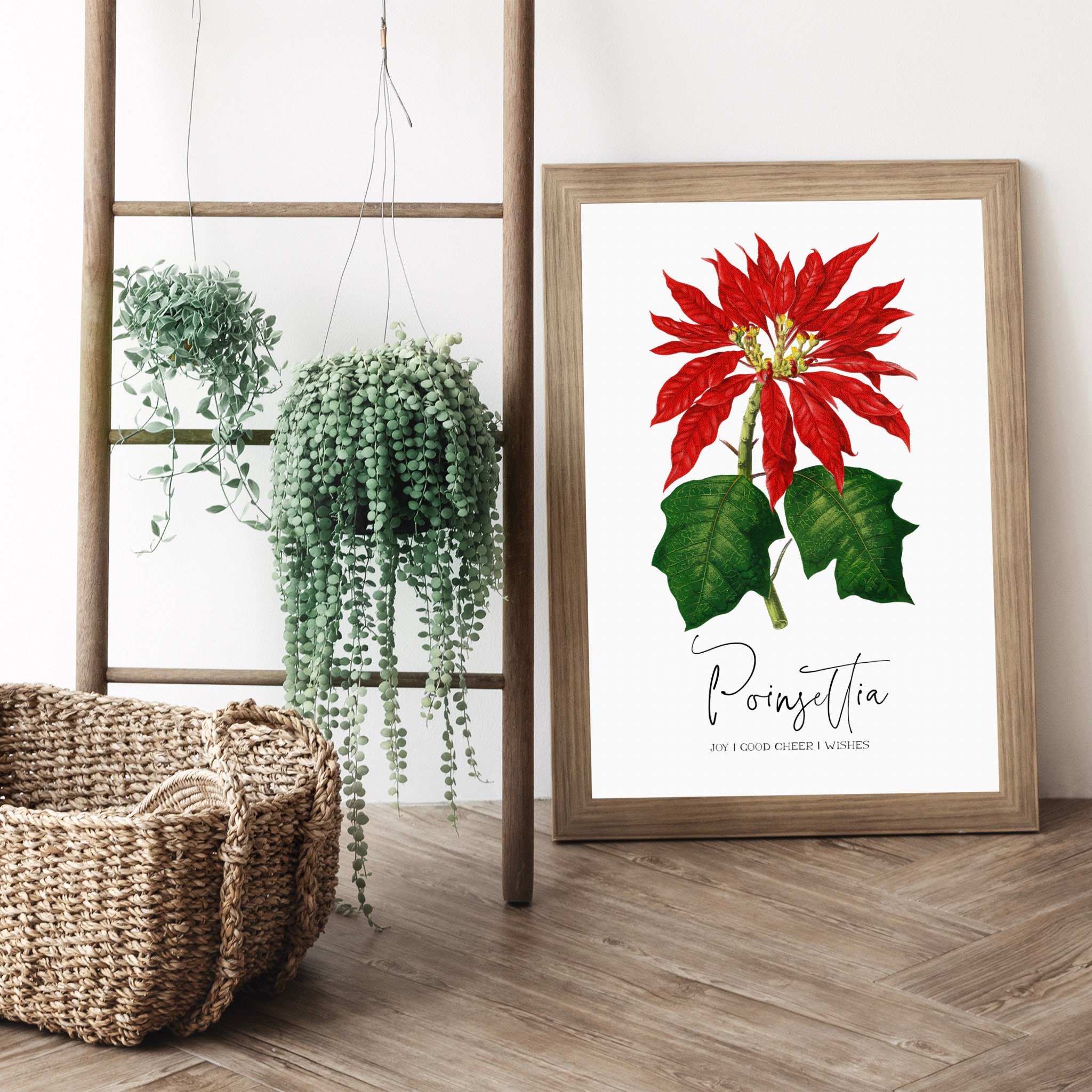 BIRTH FLOWER DECEMBER Wall Art Print Gift, Christmas Flower Poinsettia ...