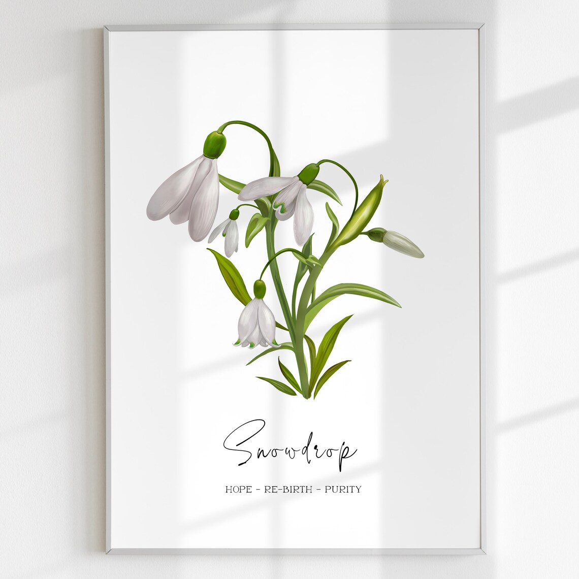 JANUARY BIRTH FLOWER Snowdrop Symbolism Vintage Floral Print Nursery ...