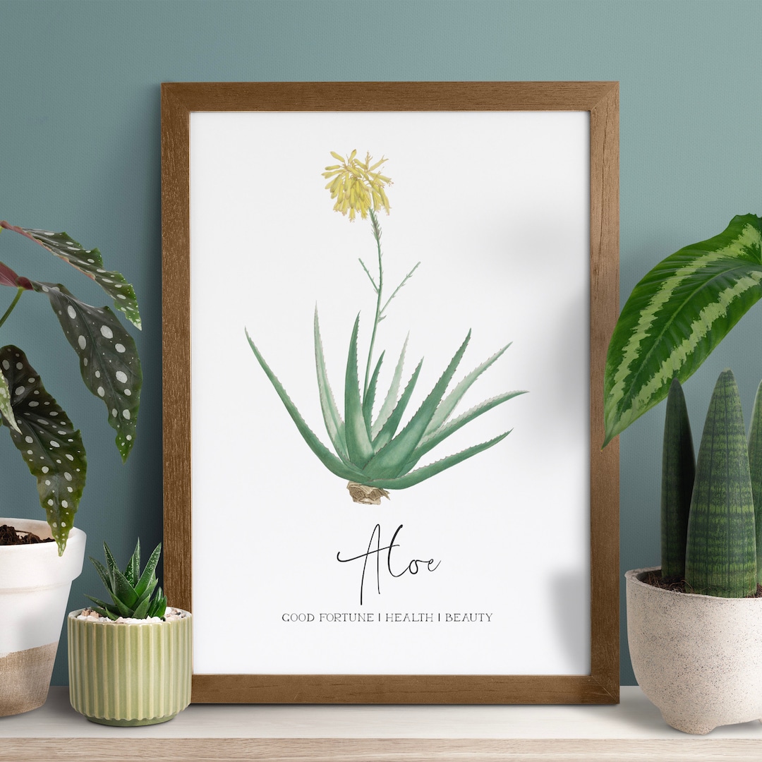 ALOE Art Print, Aloe Vera Wall Art Print, Aloe Printable Gift, Plant ...