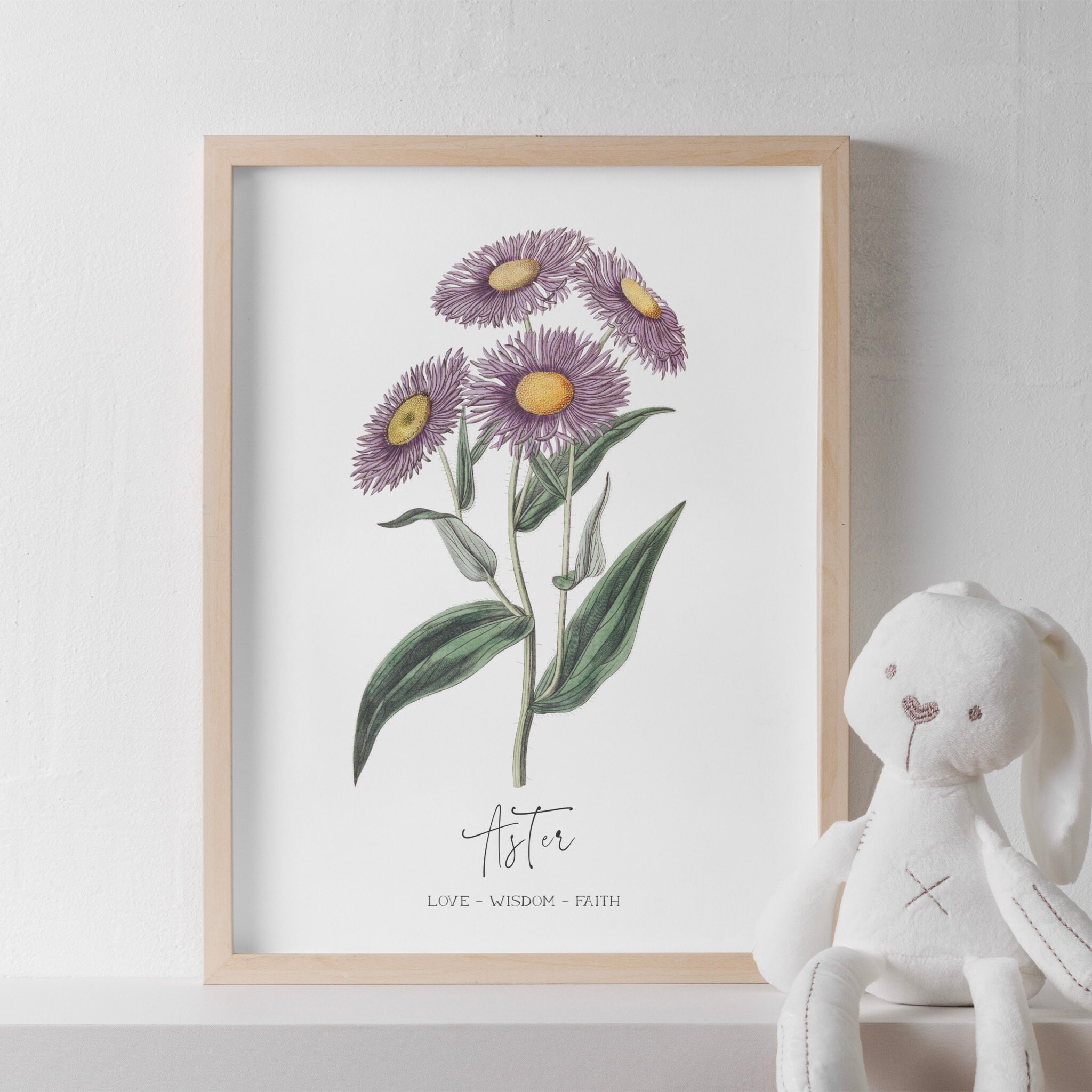 ASTER BIRTH FLOWER Instant Download Aster Print September - Etsy