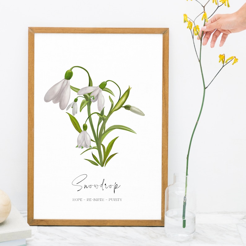 JANUARY BIRTH FLOWER Snowdrop Symbolism Vintage Floral Print Nursery ...