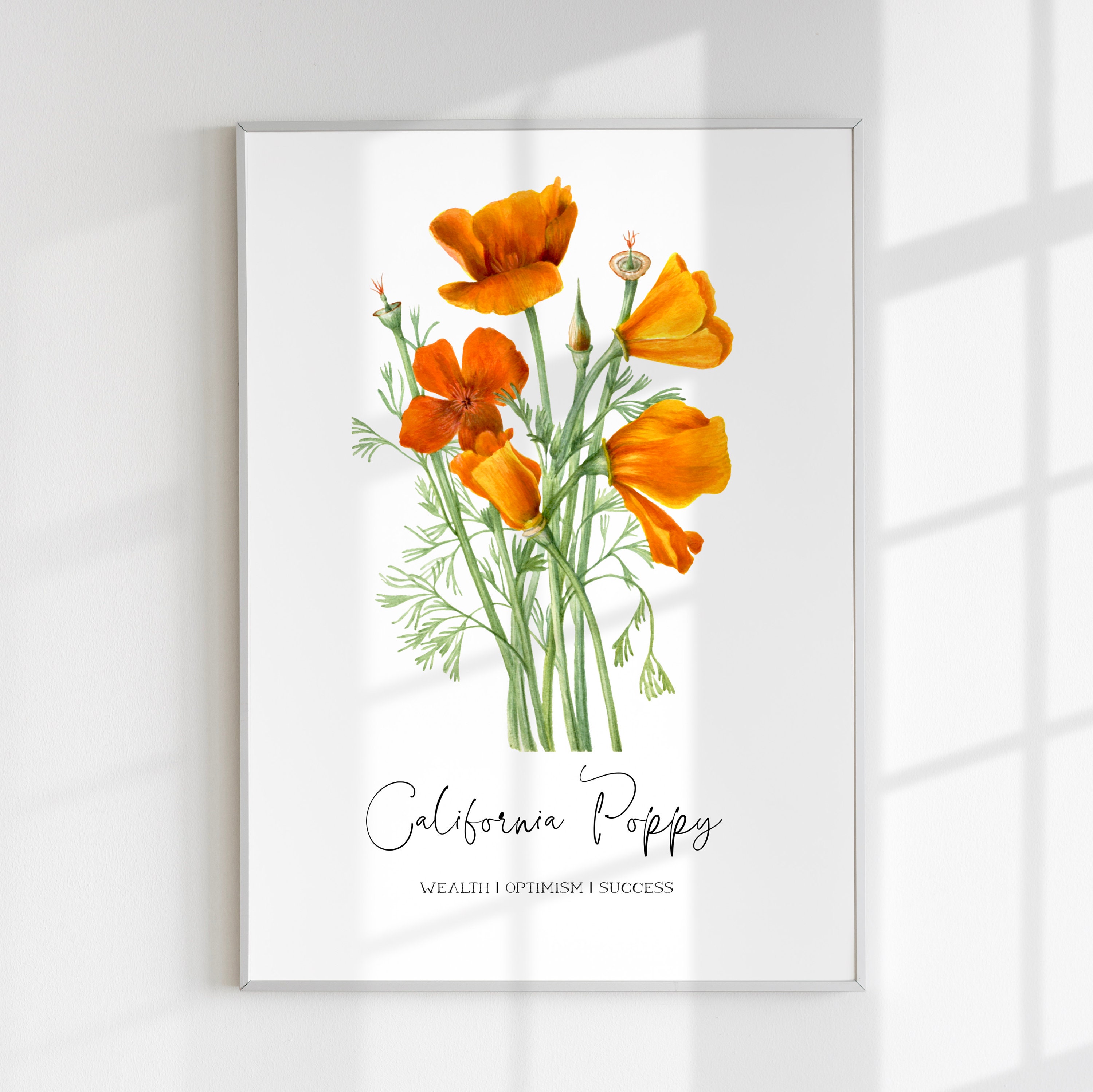 CALIFORNIA POPPY Poster Art Print, California Botanical Art Print ...