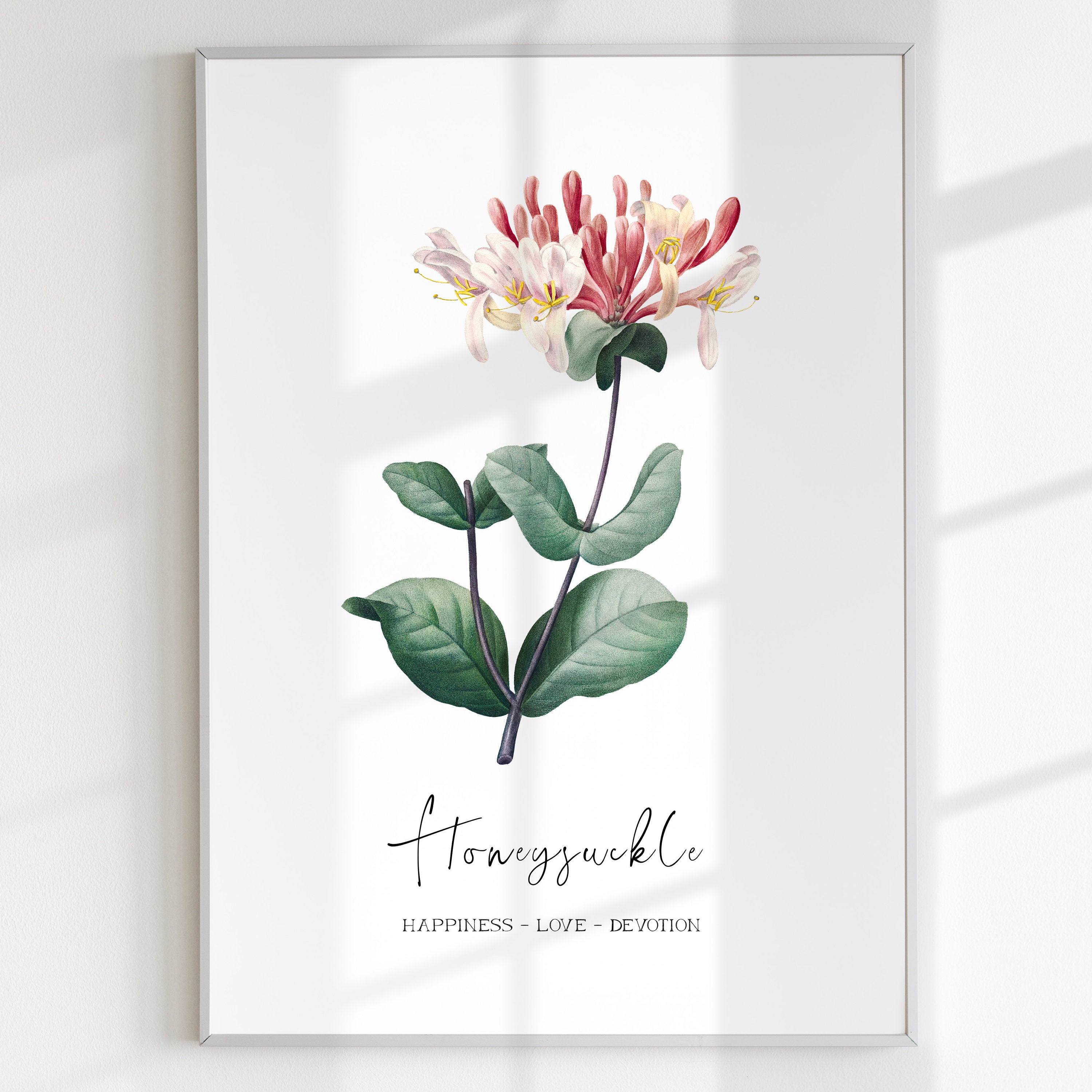 JUNE BIRTHDAY GIFT June Birth Flower Honeysuckle Instant Download Print ...