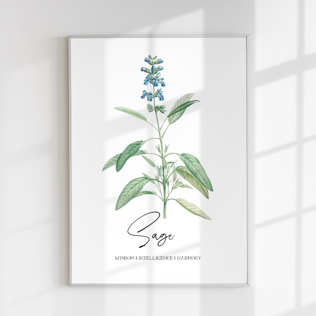 SAGE GREEN WALL Art Decor, Sage Print Digital Download, Botanical Print ...