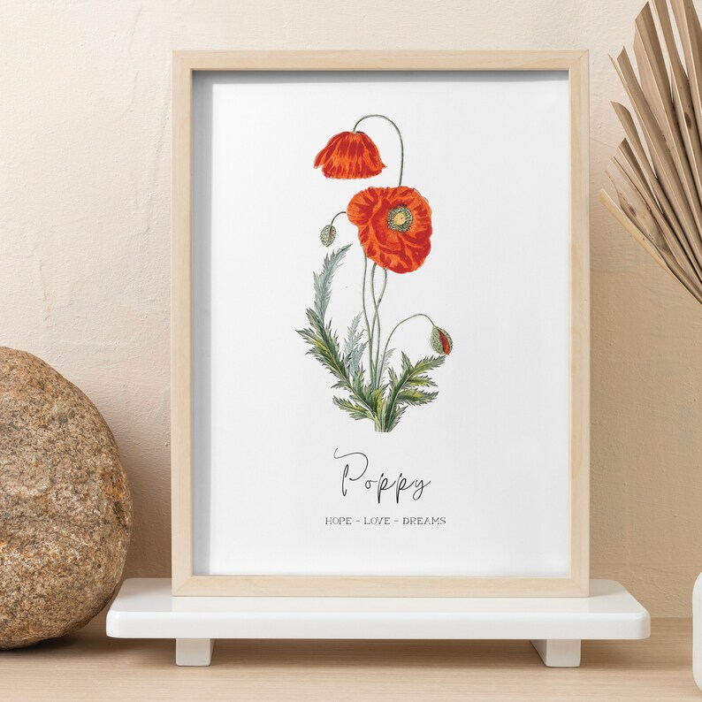 AUGUST BIRTH FLOWER Poppy Birth Print Nursery Print Digital - Etsy