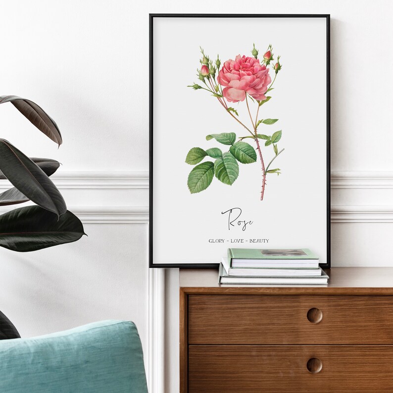 JUNE BIRTH FLOWER Rose Birth Print Nursery Print Digital Download ...