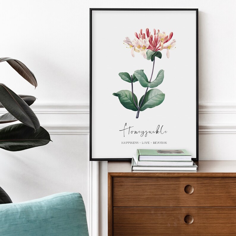 BIRTH FLOWER JUNE Honeysuckle Printable Wall Art June Birth - Etsy