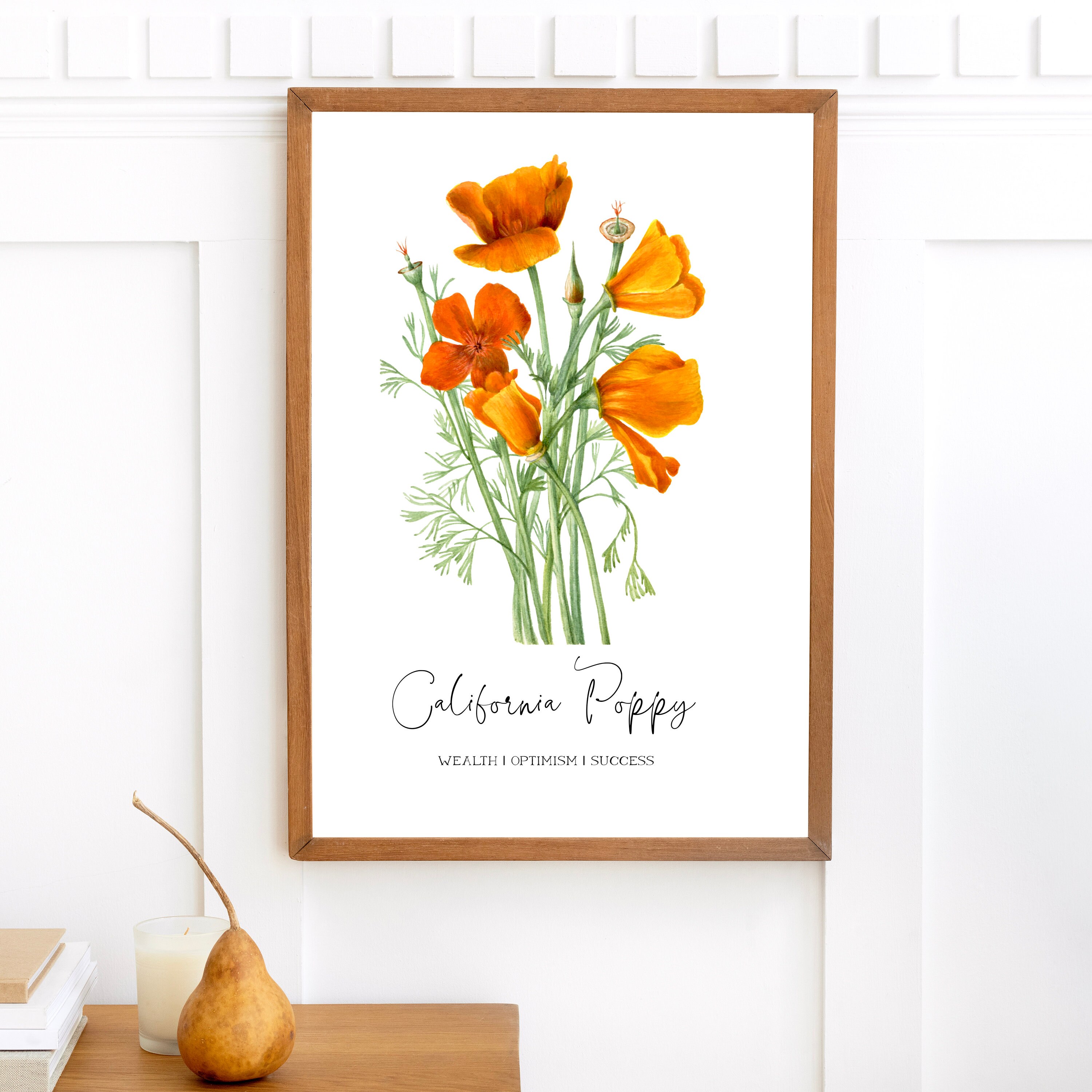 CALIFORNIA POPPY Poster Art Print, California Botanical Art Print ...