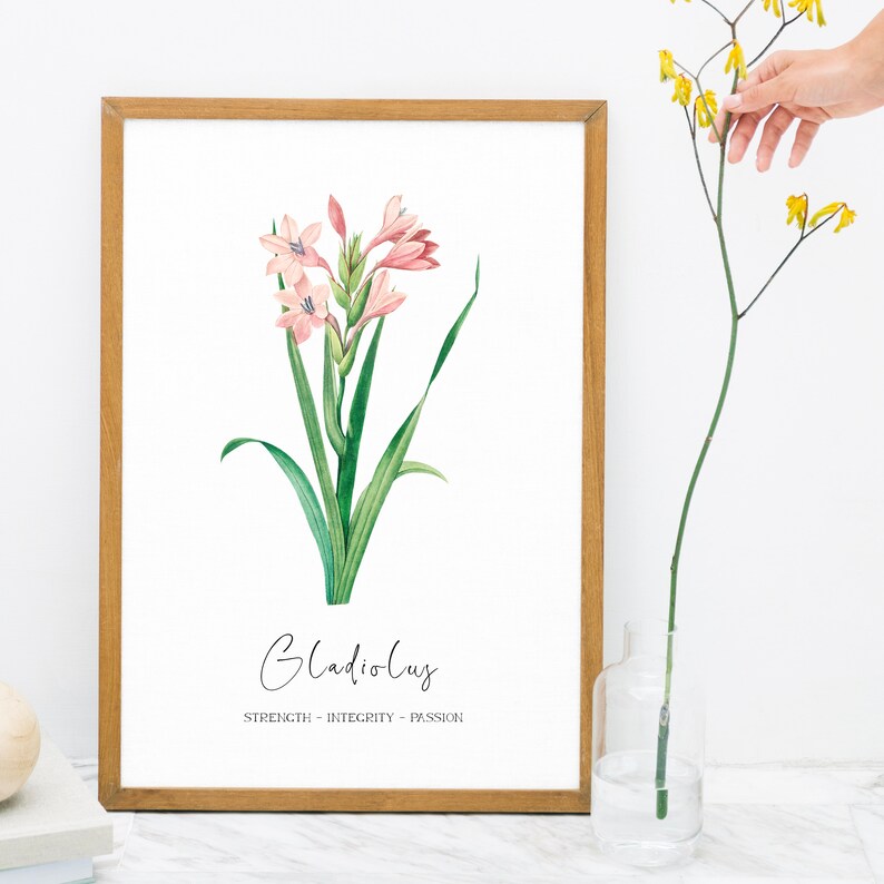 AUGUST BIRTH FLOWER Gladiolus Birth Print Nursery Print Digital ...