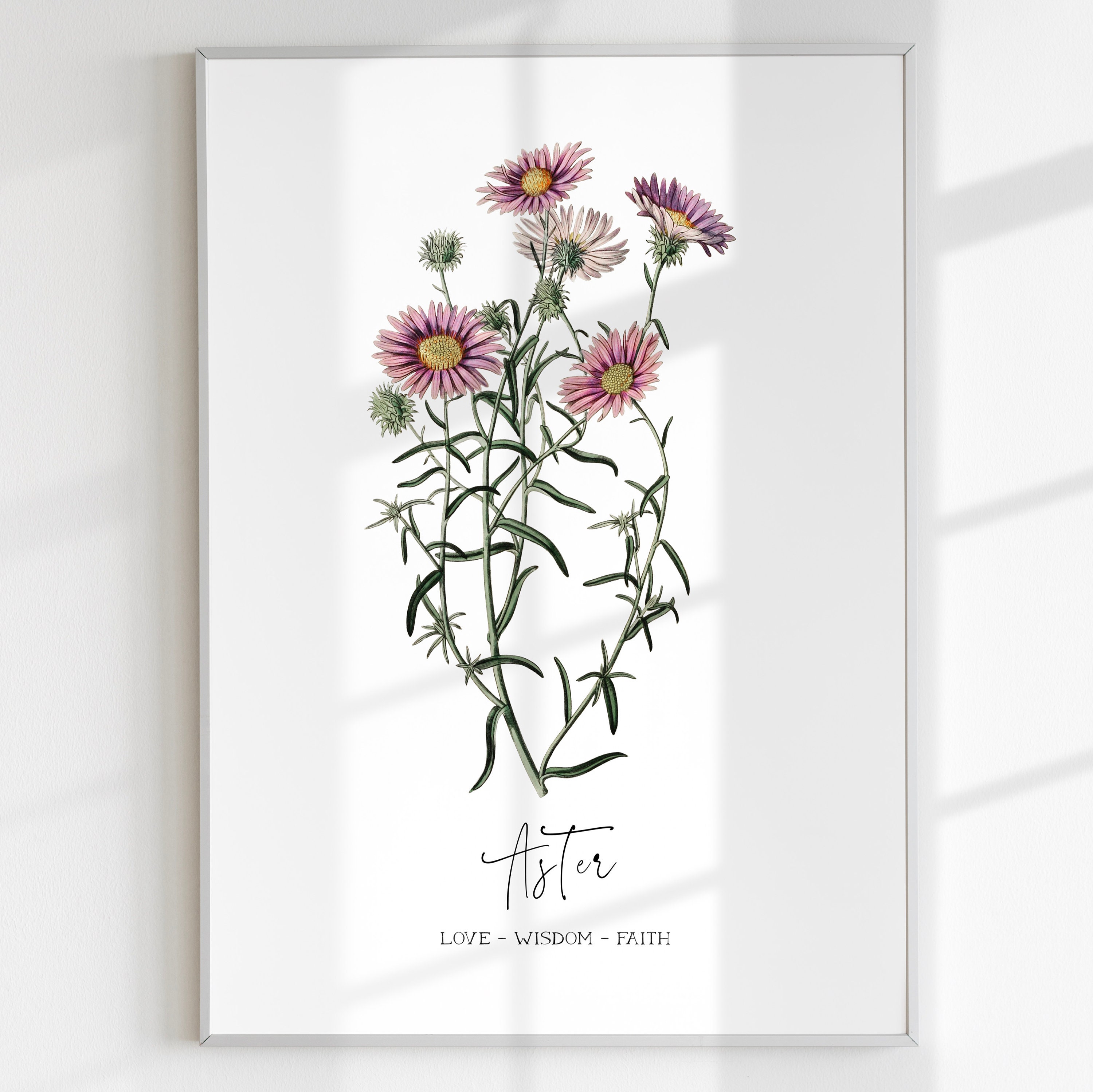ASTER BIRTH FLOWER Instant Download Aster Print September Aster Flower ...