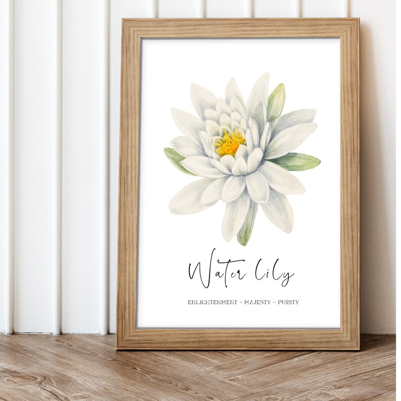 July Birth Flower Art Printable Digital Download Water Lily - Etsy