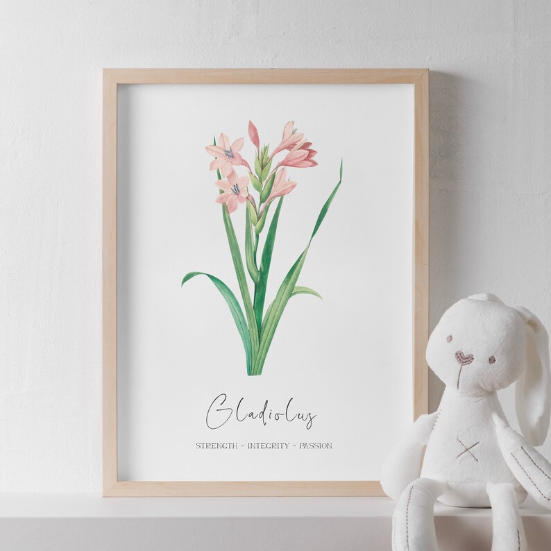 AUGUST BIRTH FLOWER Gladiolus Birth Print Nursery Print Digital ...