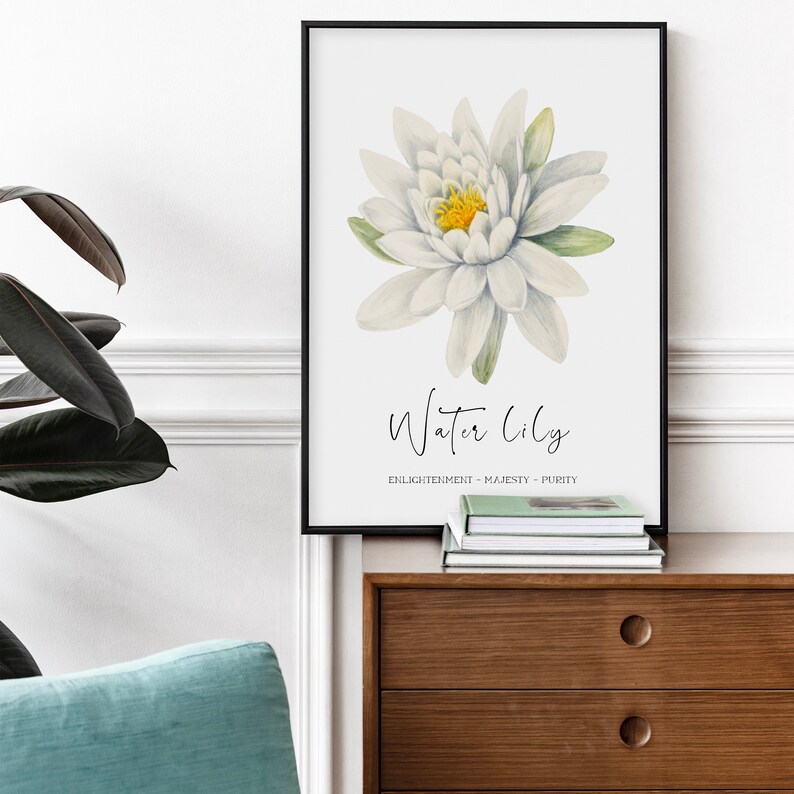 July Birth Flower Art Printable Digital Download Water Lily - Etsy