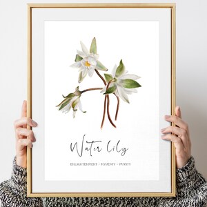 July Birth Flower Art Printable Digital Download, Water Lily Art Print ...