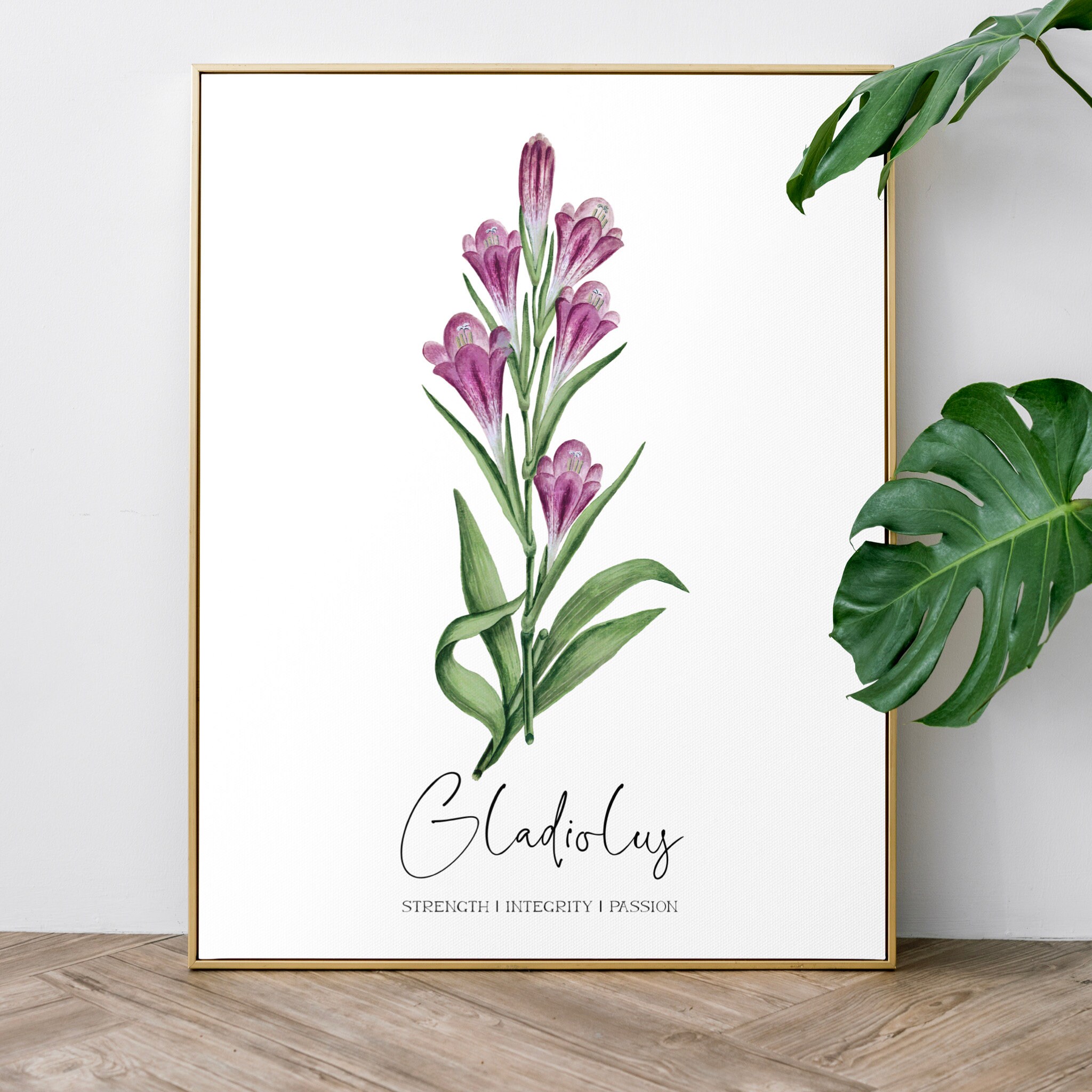 AUGUST BIRTH FLOWER Art Print August Birthday Gift for Her - Etsy
