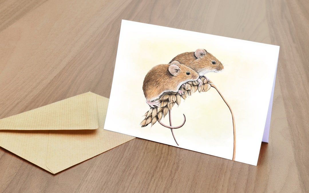 Field Mice Greetings Card - British Wildlife - Etsy