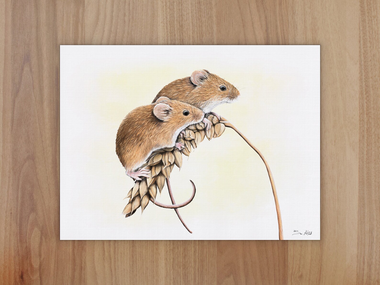 Field Mice Wildlife Art Print, A4 or 8x6 - Etsy