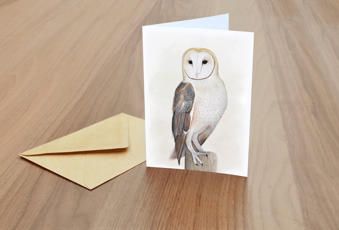 Barn Owl Blank Greetings Card - British Wildlife - Etsy