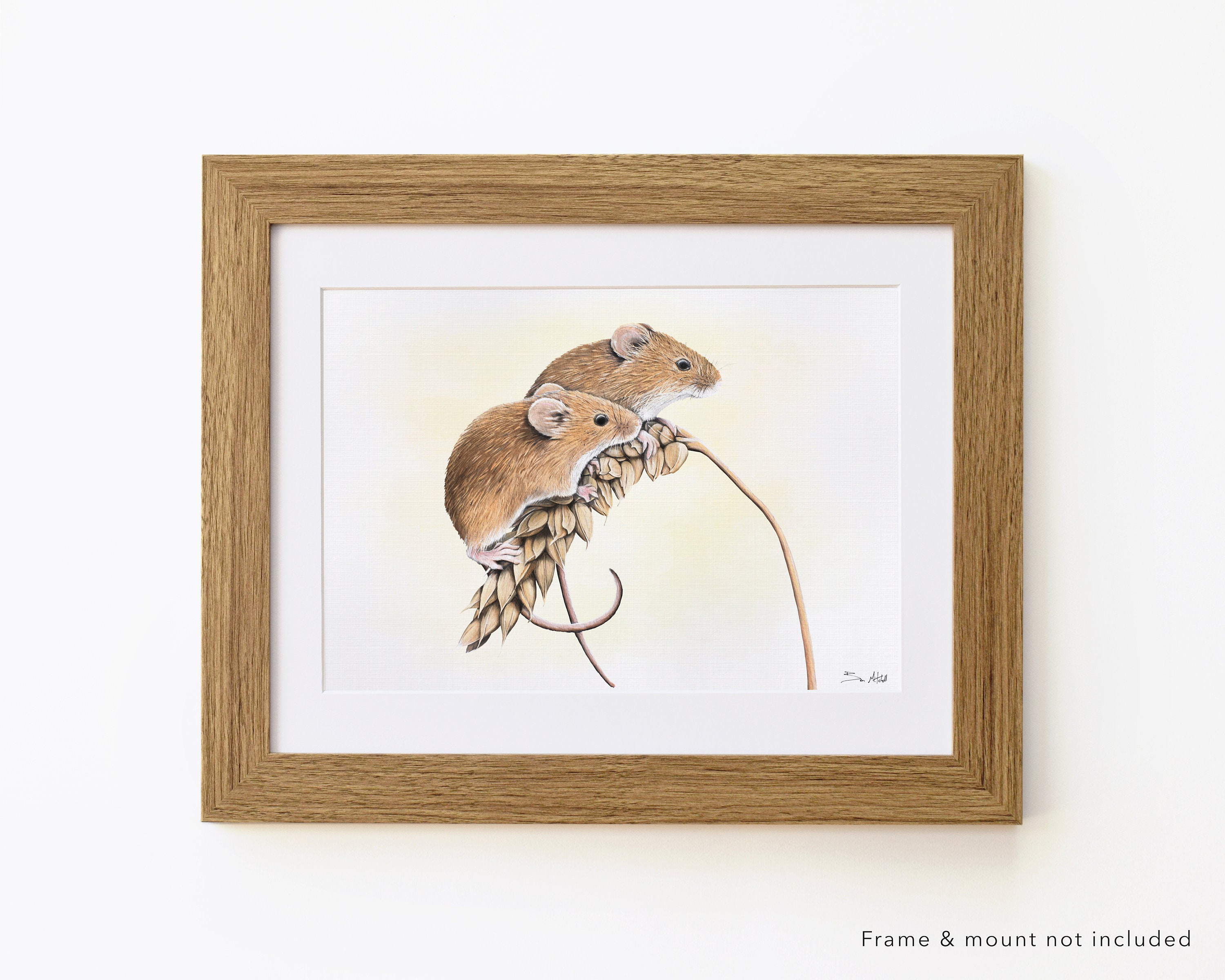 Field Mice Wildlife Art Print, A4 or 8x6 - Etsy