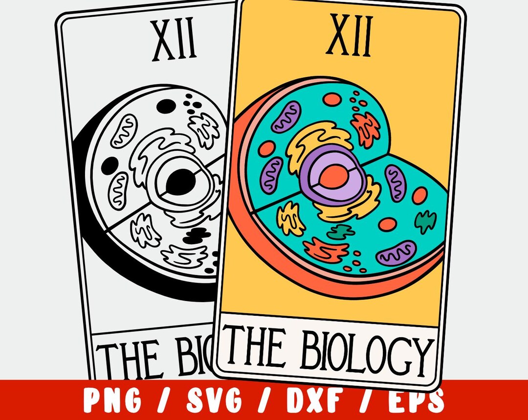 Biology SVG - Cell Tarot Card - Genetic DNA - Science Teacher Biologist ...