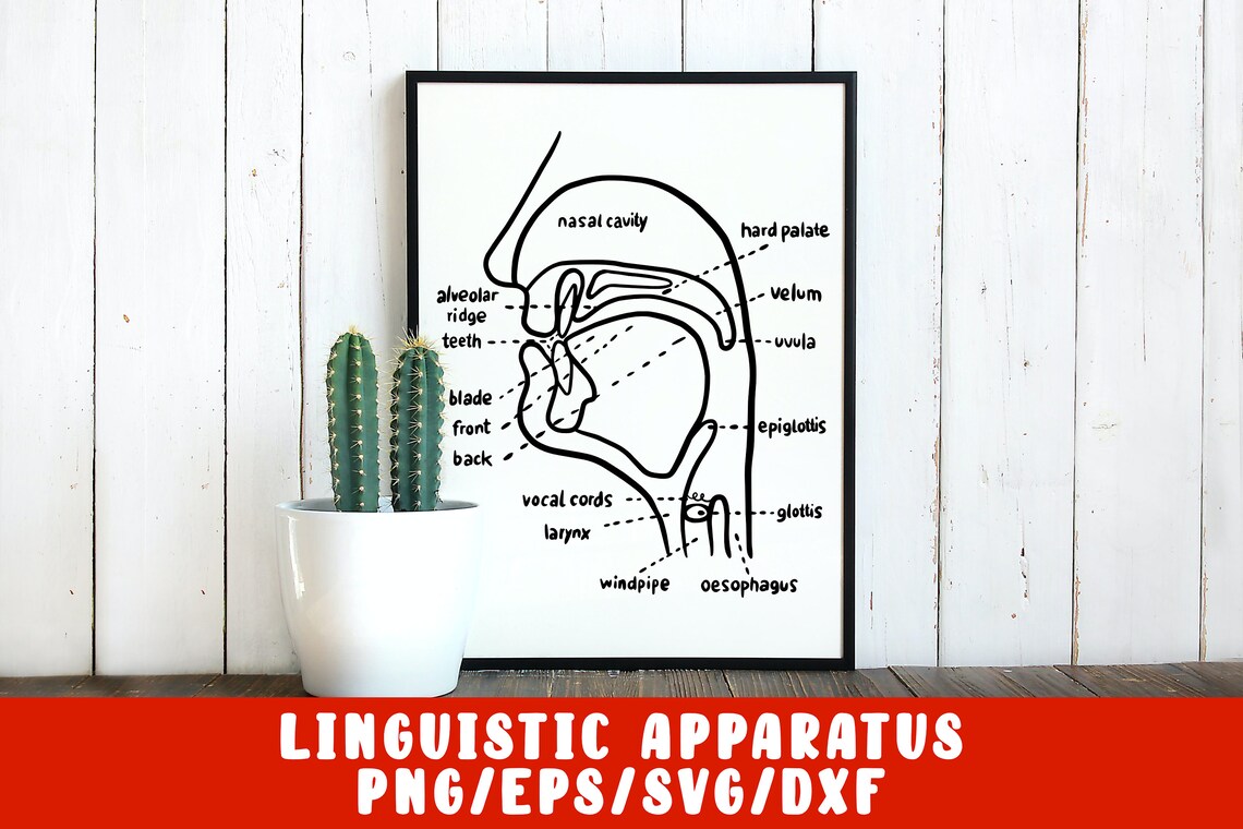 Linguist SVG Cut File Phonetics Teacher Language Linguistics - Etsy