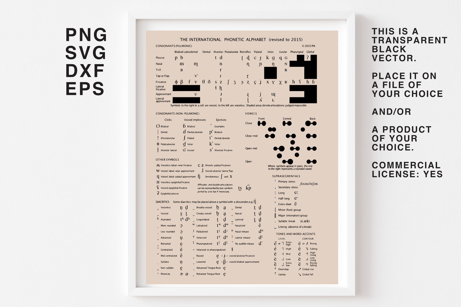 Phonetic Alphabet SVG Cut File IPA Phonetics Linguist - Etsy